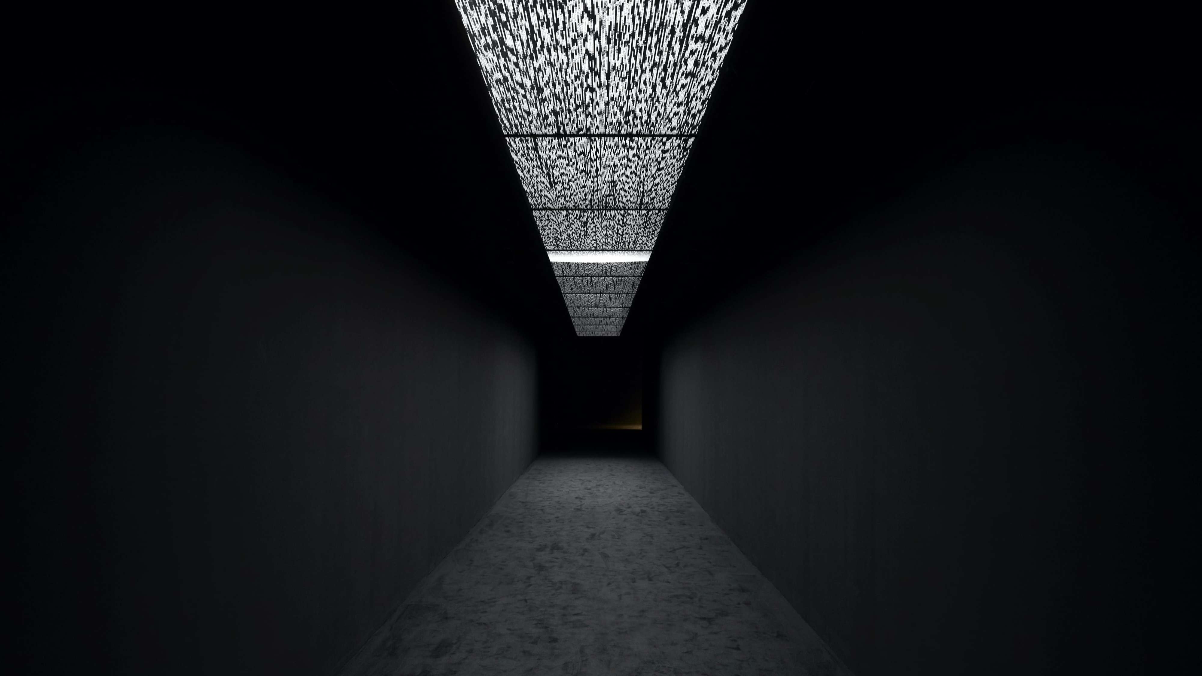 2021: Looking Ahead to a Year of Moving Image Art