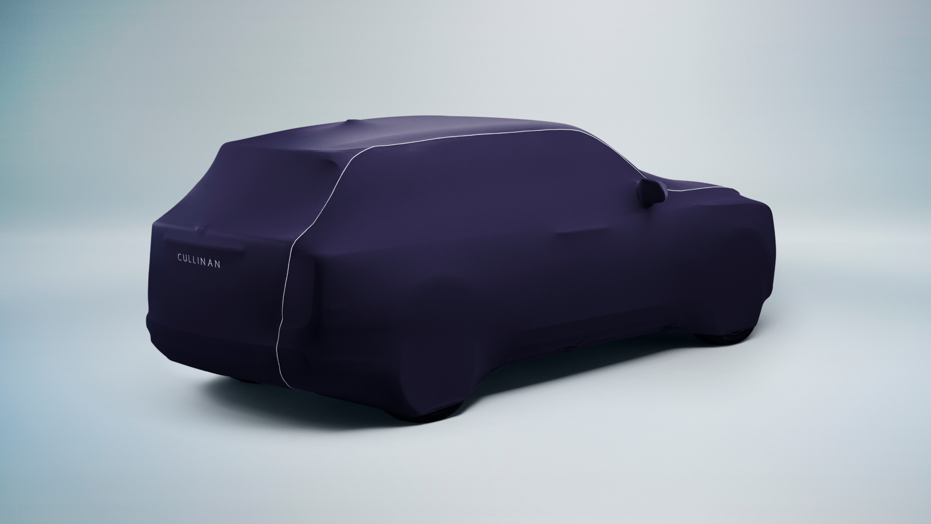 Indoor Car Cover